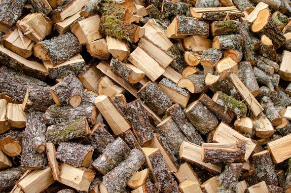 view of oak wood cut and stacked for drying Stock Photo by wirestock