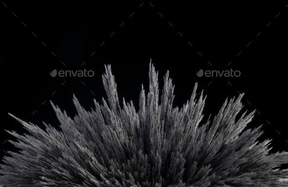 Reaction of iron dust to a magnetic field of a strong neodymium magnet ...