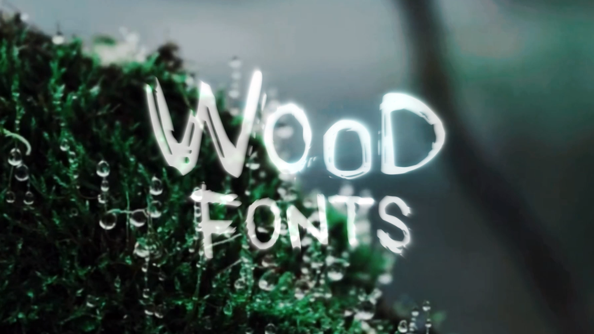Woodfonts, Fonts | GraphicRiver