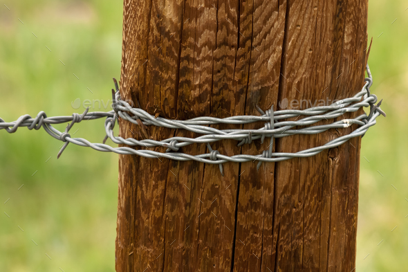 Barbed wire Stock Photo by arina-habich | PhotoDune
