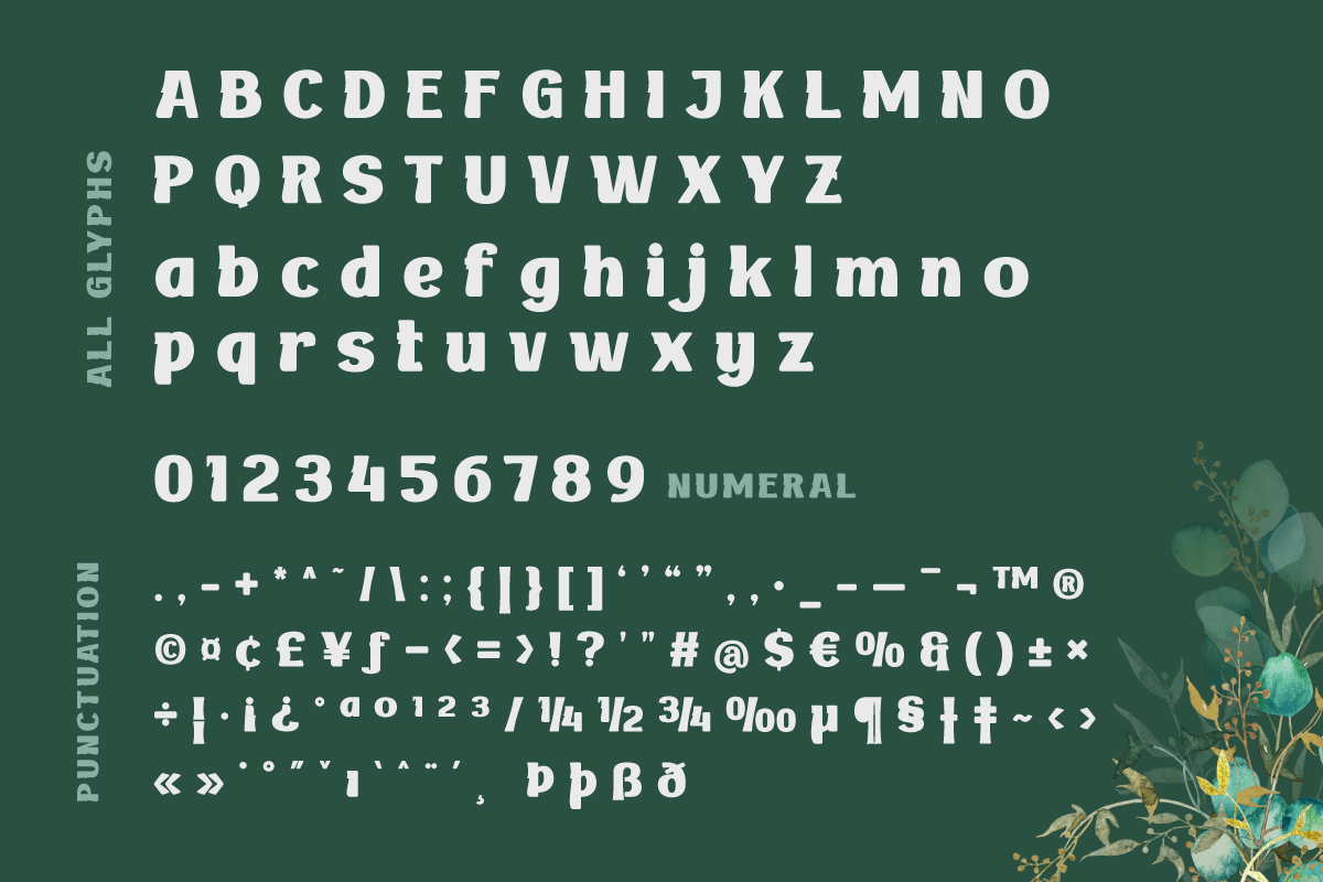 BAKRUV | Serif Classic Modernism, Fonts | GraphicRiver