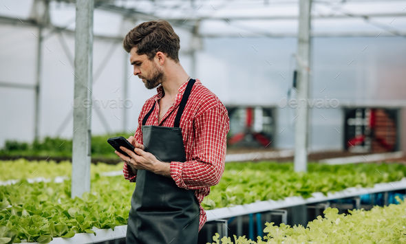 Farm owner calculates resources, profit, performance, expenses ...