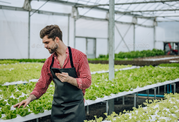 Farm owner calculates resources, profit, performance, expenses ...