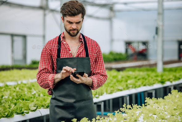 Farm owner calculates resources, profit, performance, expenses ...