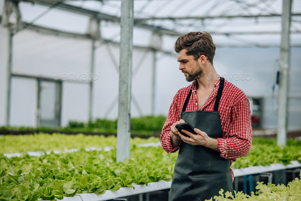 Farm owner calculates resources, profit, performance, expenses ...