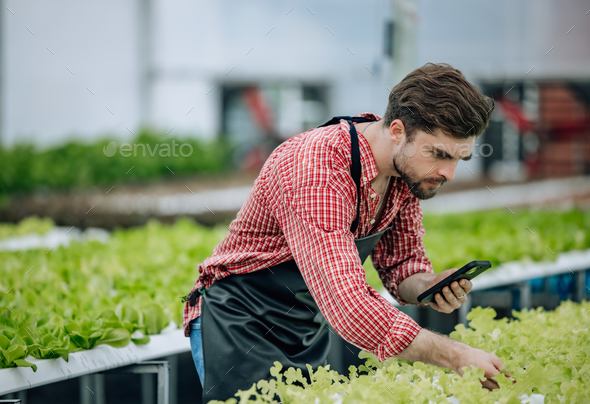 Farm owner calculates resources, profit, performance, expenses ...