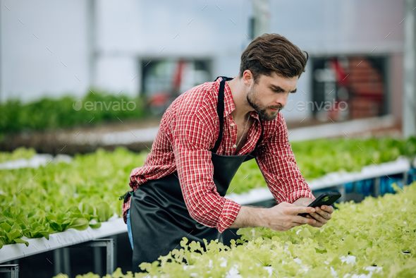 Farm owner calculates resources, profit, performance, expenses ...