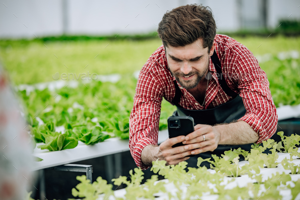 Farm owner calculates resources, profit, performance, expenses ...
