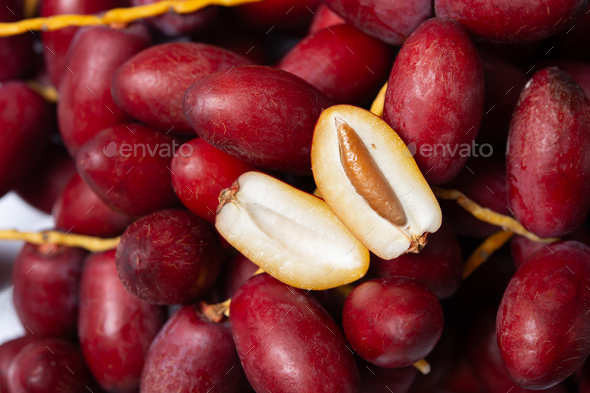 Fresh red date palm (Phoenix dactylifera) cut in half Stock Photo by ...