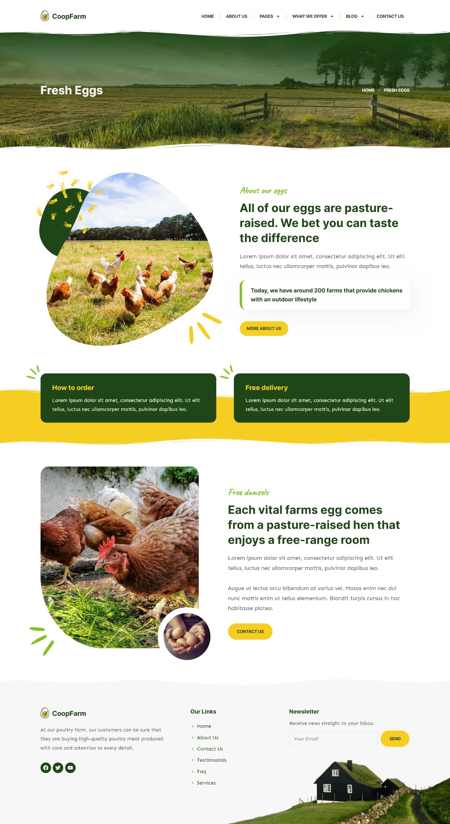 CoopFarm - Poultry Farm Elementor Template Kit by BimberOnline ...