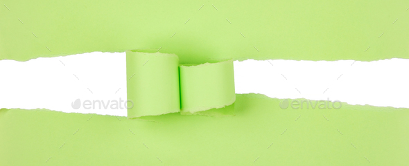 Ripped green paper with curled edges. White color under the green paper ...