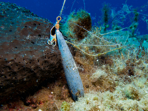 Lead sinker polluting the sea Stock Photo by SakisLazarides | PhotoDune