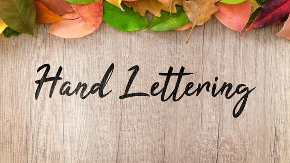 Hand Lettering Animated Typeface After Effects Project Files Videohive