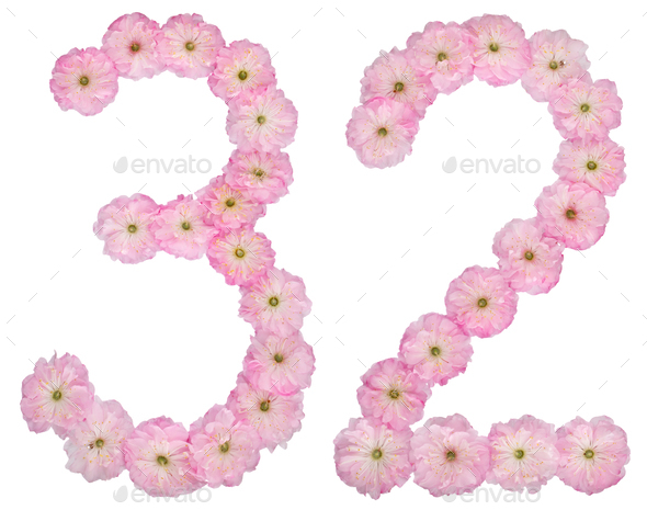 Numeral 32, thirty two, from natural pink flowers of almond tree ...