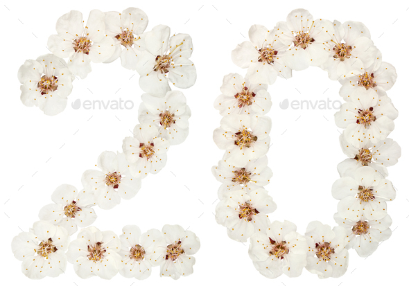Numeral 20, twenty, from natural white flowers of apricot tree ...