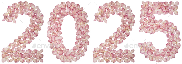 Numeral 2025 from flowers of hydrangea, isolated on white background ...