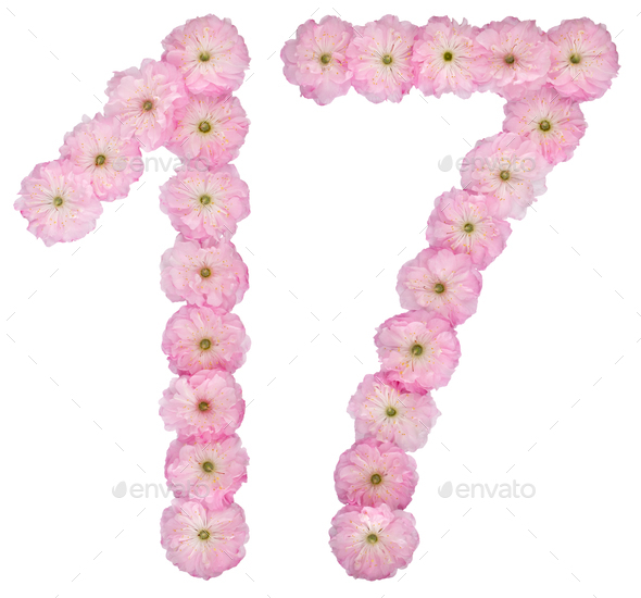 Numeral 17, seventeen, from natural pink flowers of almond tree ...
