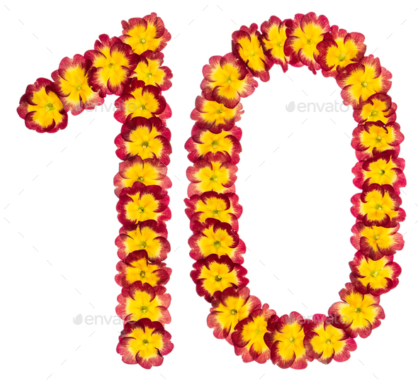 Numeral 10, ten, from natural flowers of primula, isolated on white ...
