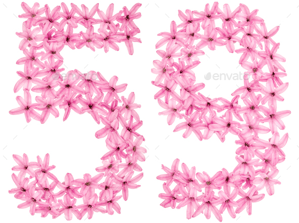 Numeral 59, fifty nine, from natural flowers of hyacinth, isolated on ...
