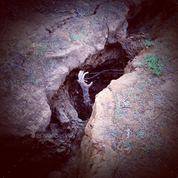 What appears to be a hand reaching out from the ground!! Stock Photo by ...