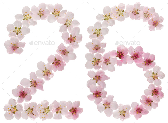 Numeral 26, twenty six, from natural pink flowers of peach tree ...