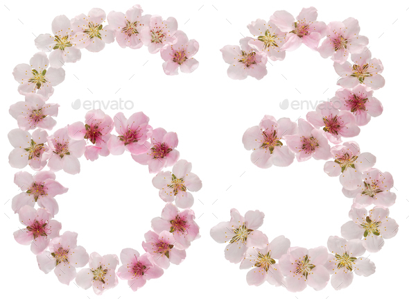 Numeral 63, sixty three, from natural pink flowers of peach tree ...
