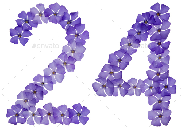 Numeral 24, twenty four, from natural blue flowers of periwinkle ...