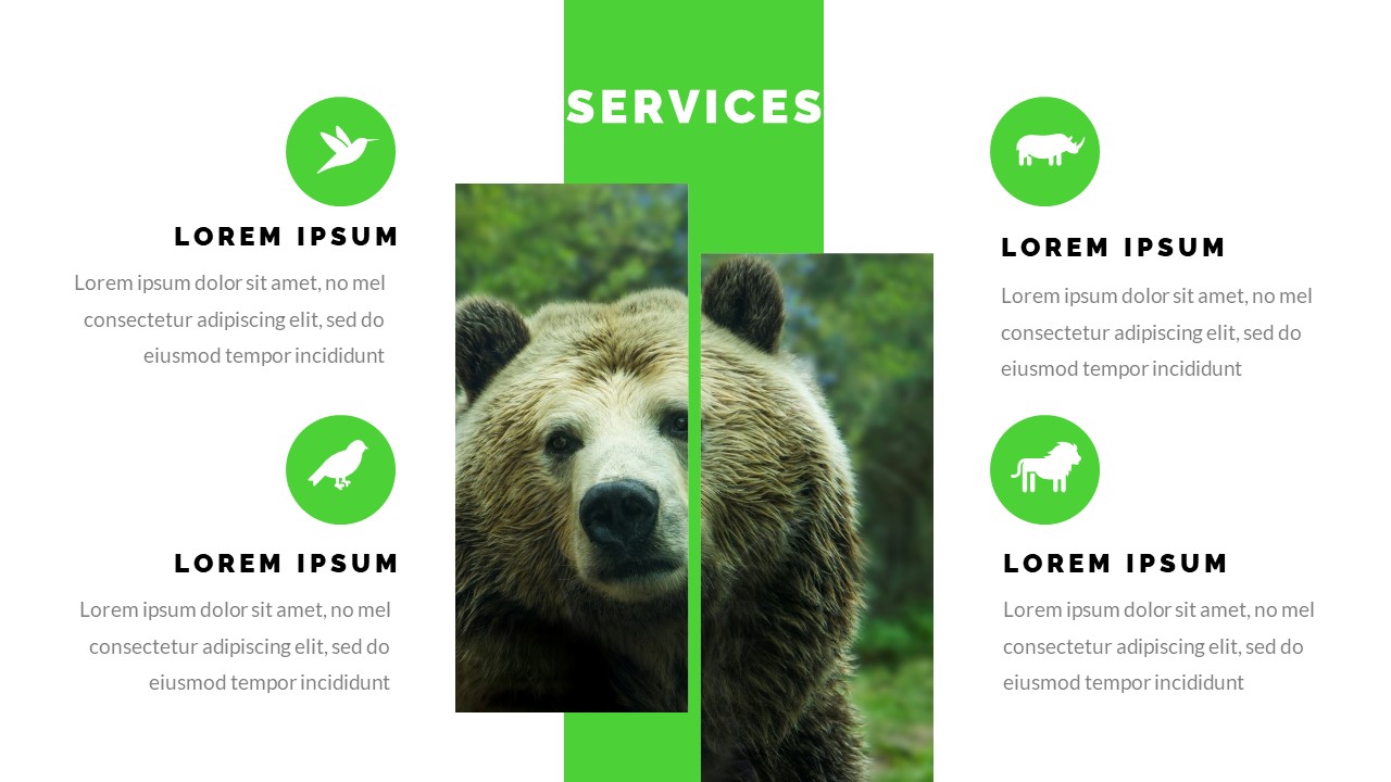 Animais - Animal Rescue and Crowdfunding Powerpoint Template ...