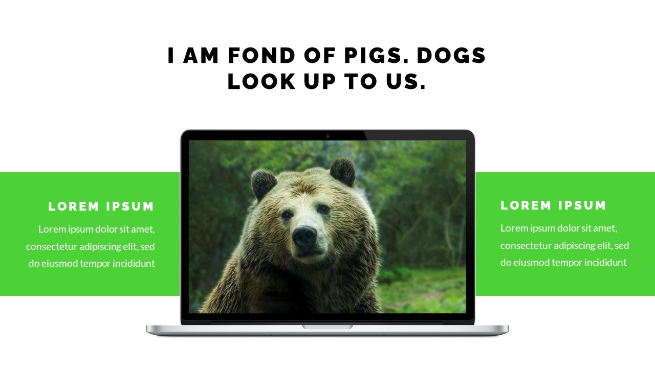 Animais - Animal Rescue and Crowdfunding Powerpoint Template ...