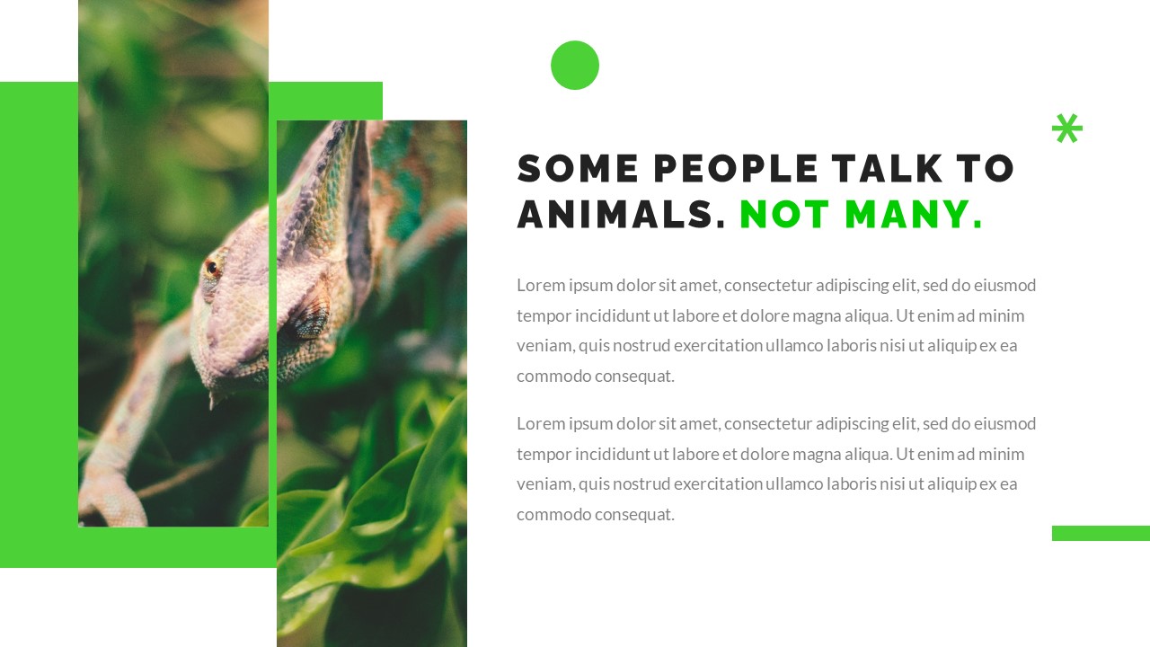 Animais - Animal Rescue and Crowdfunding Powerpoint Template ...