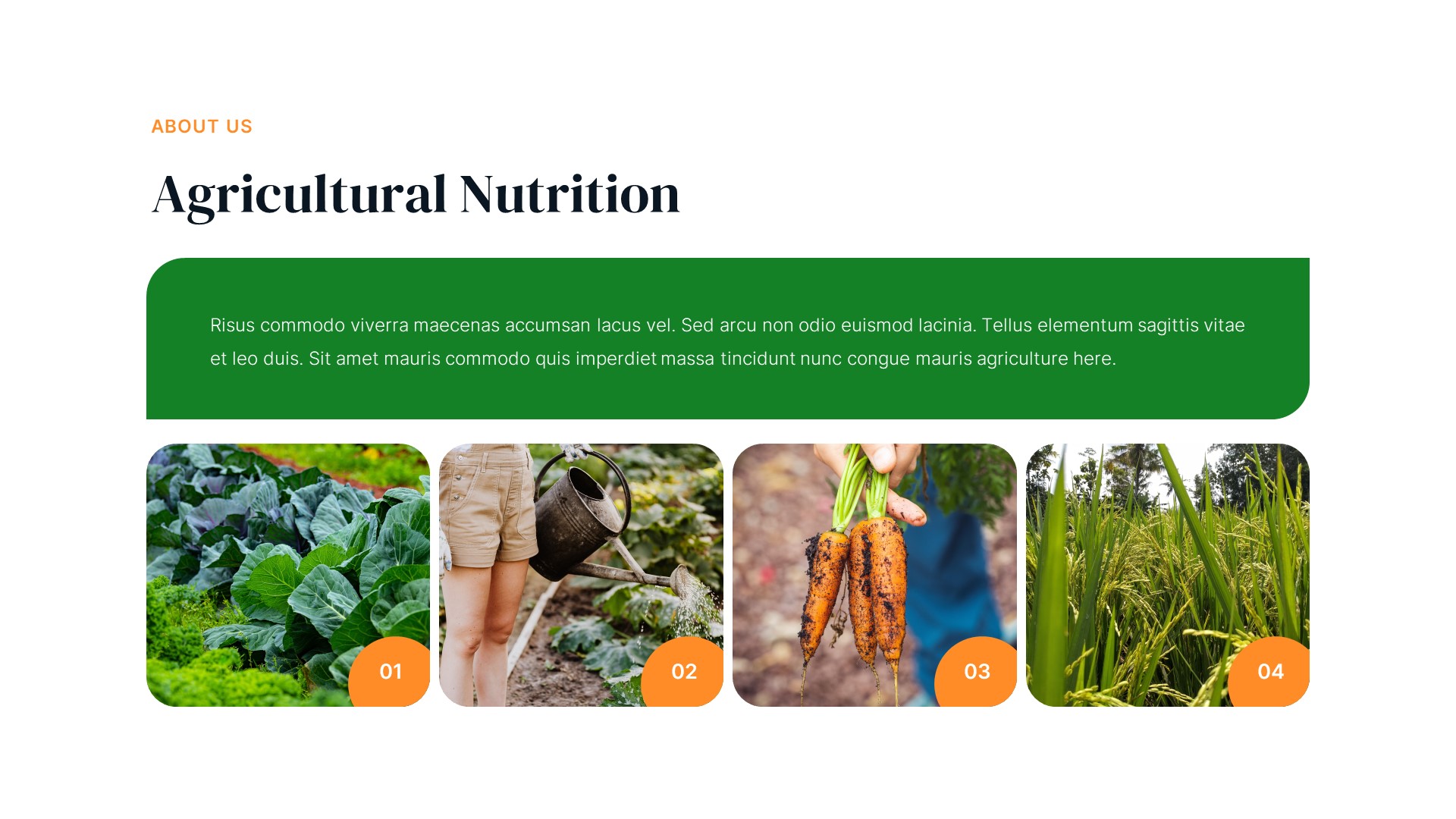 Agriculture & Farming PowerPoint Template, Presentation Templates ...