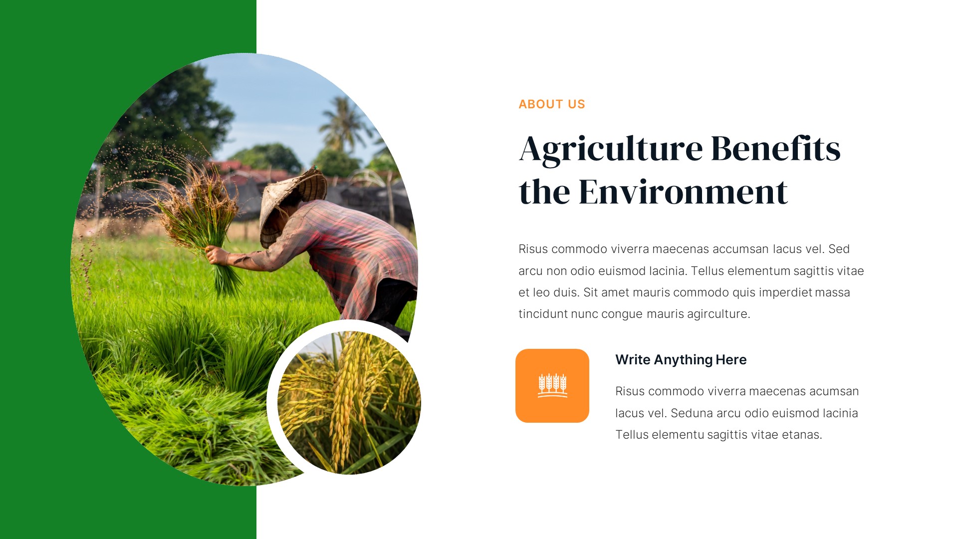 Agriculture & Farming PowerPoint Template, Presentation Templates ...