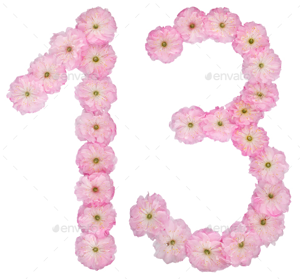 Numeral 13, thirteen, from natural pink flowers of almond tree ...