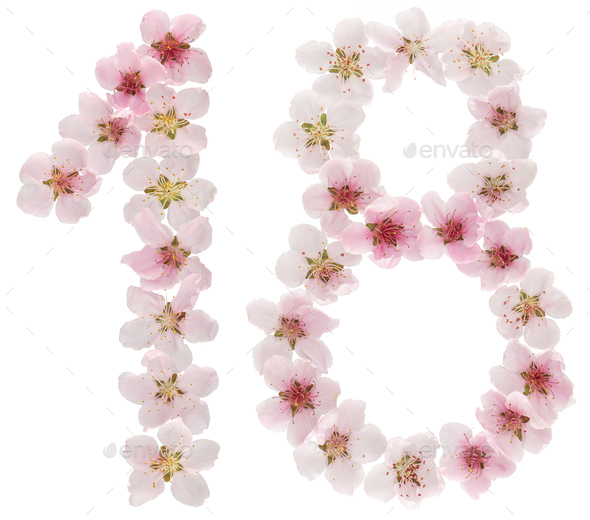 Numeral 18, eighteen, from natural pink flowers of peach tree, isolated ...