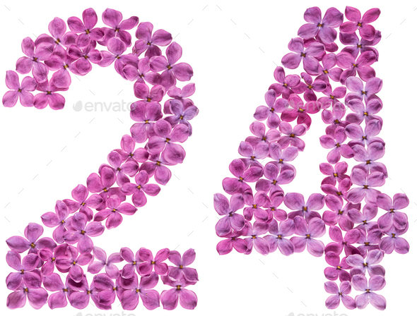 Arabic numeral 24, twenty four, from flowers of lilac, isolated on ...