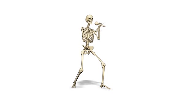 3D Skeleton Fun Rap Looped on White, Motion Graphics | VideoHive
