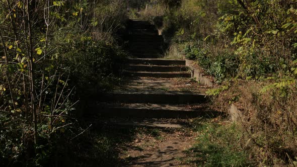Lost pathway through the forest 4K 2160p 30fps UltraHD footage ...