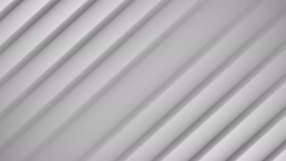 White Background, Motion Graphics | VideoHive