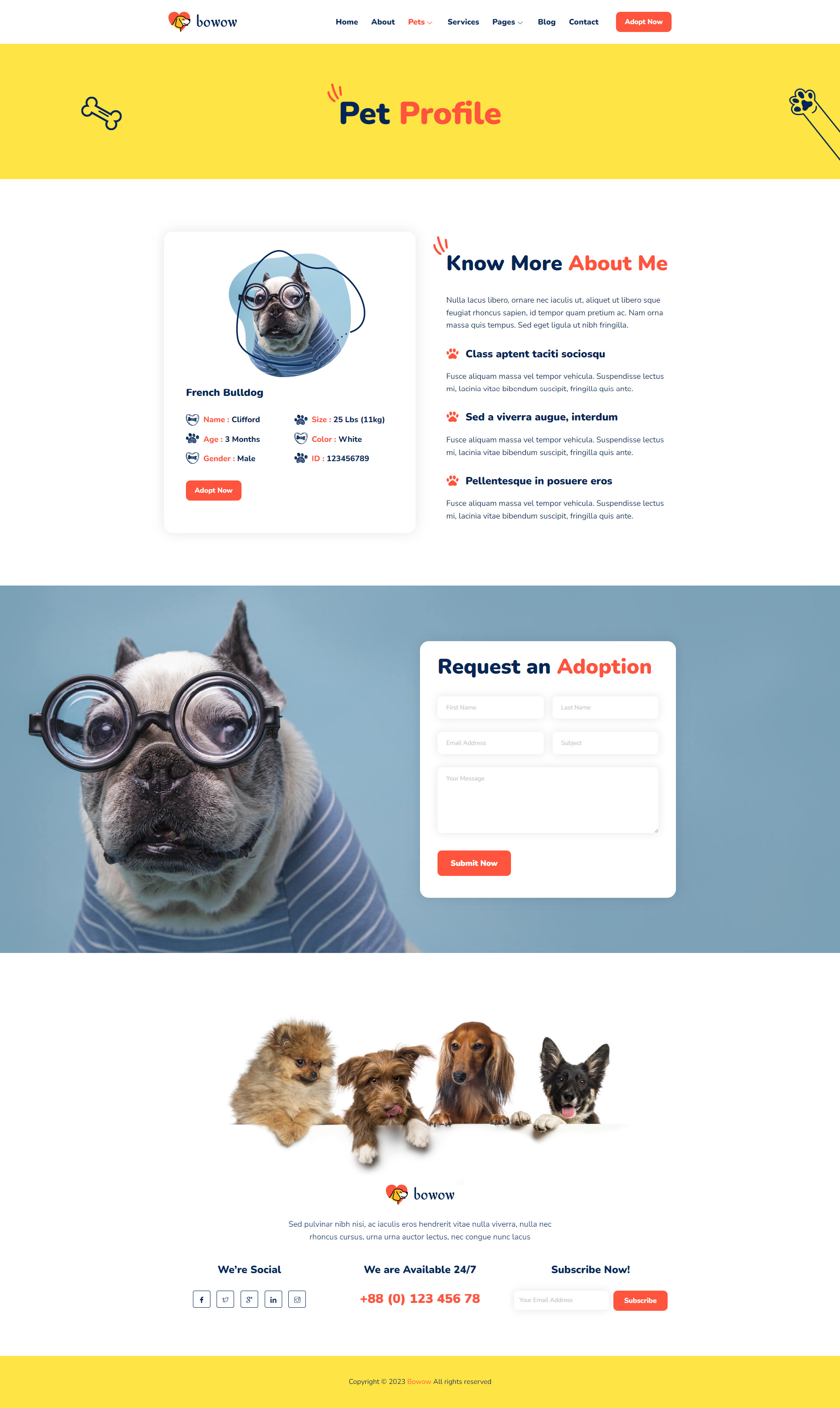 Bowow - Pet Care Services Elementor Template Kit by kinforce | ThemeForest