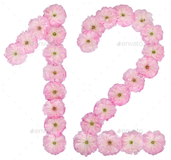 Numeral 12, twelve, from natural pink flowers of almond tree, isolated ...