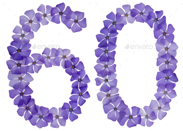 Numeral 60, sixty, from natural blue flowers of periwinkle, isolated on ...