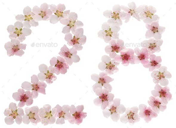 Numeral 28, twenty eight, from natural pink flowers of peach tree ...