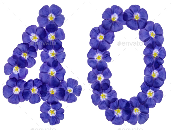 Arabic numeral 40, forty, from blue flowers of flax, isolated on white ...