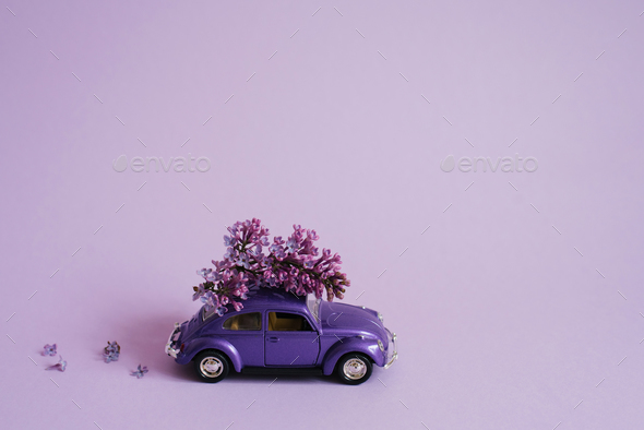 Purple Toy Car with Lilac Flowers on the Roof on a Lilac Background ...