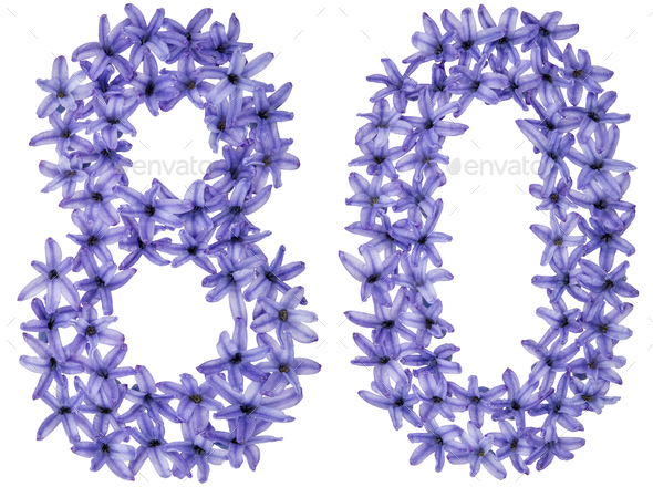 Numeral 80, eighty, eight, from natural flowers of hyacinth, isolated ...