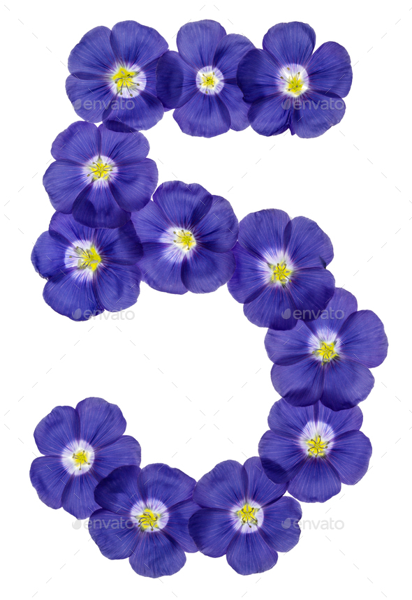Arabic numeral 5, five, from blue flowers of flax, isolated on white ...