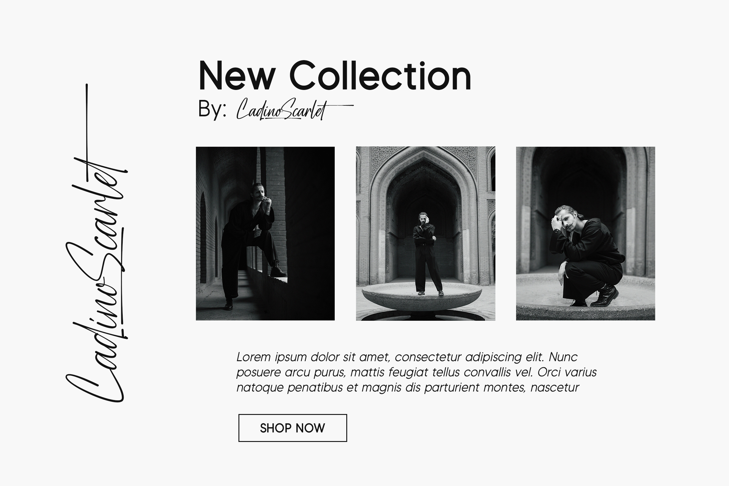 Amity Signature, Fonts | GraphicRiver