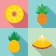 Pineapple Icons Set Flat Style, Vectors | GraphicRiver