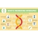 Genetic Engineering Infographic Flat Style, Vectors | GraphicRiver