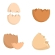 Eggshell Icons Set Flat Style, Vectors | GraphicRiver